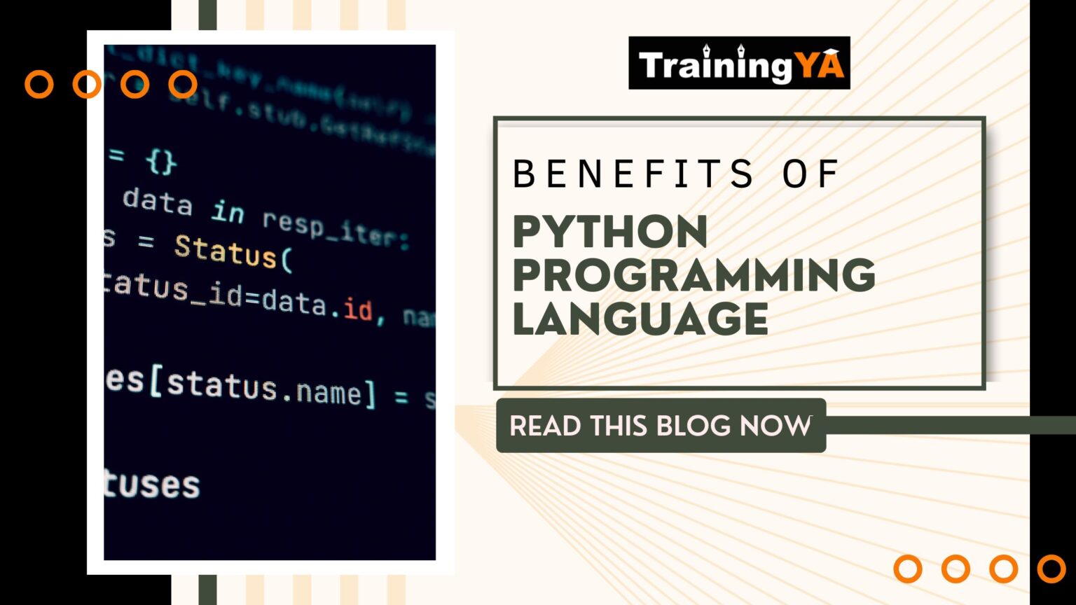 Discover the Benefits of Learning Python