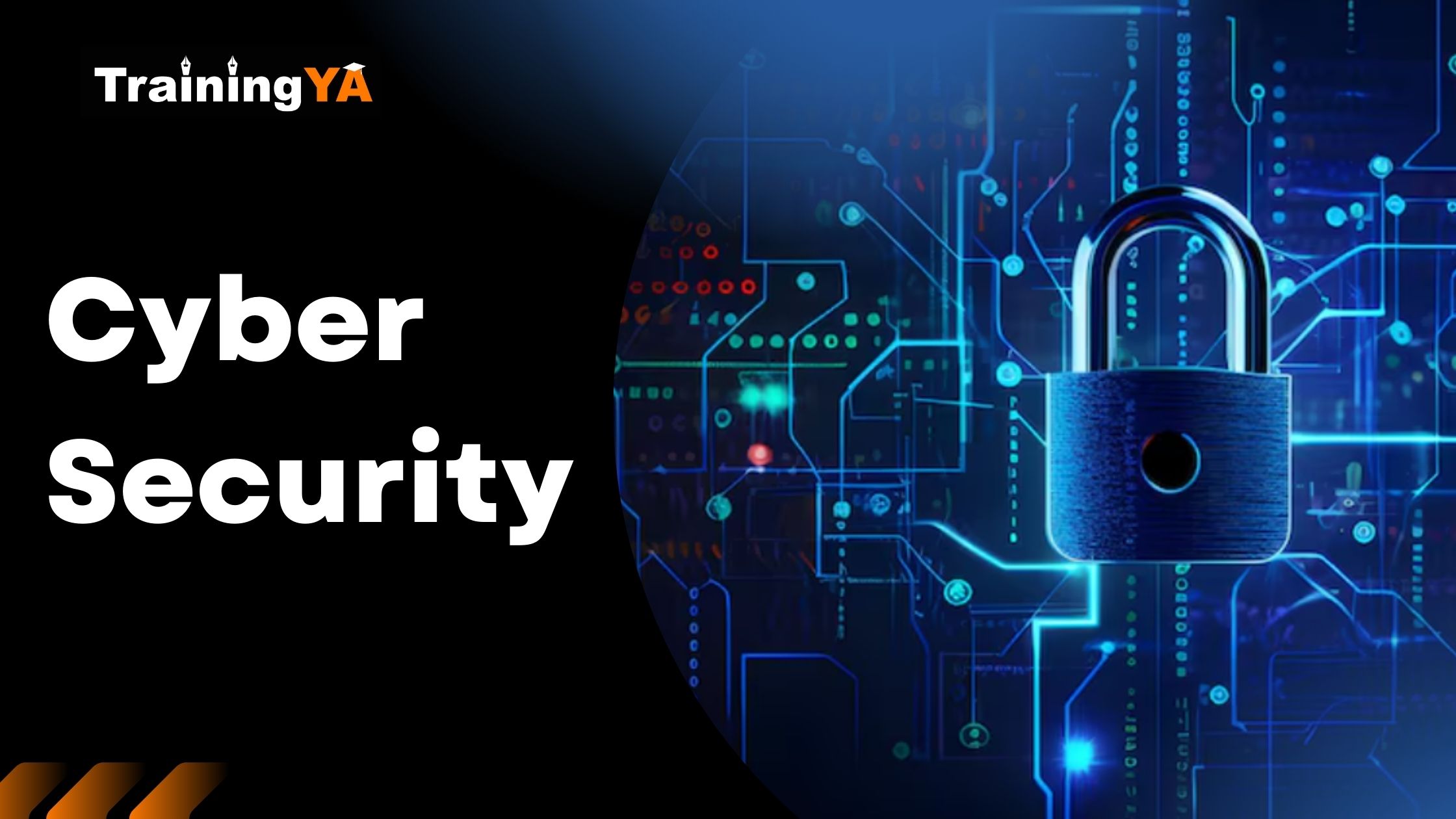 Top 15 Highest Paid Courses for Future Jobs 2025